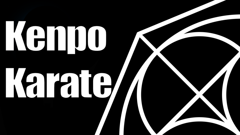 Kenpo Karate: A Guide to Techniques & Requirements