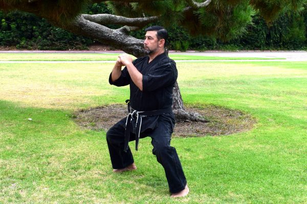 Horse Stance in Kenpo Karate: Enhance Stability and Technique