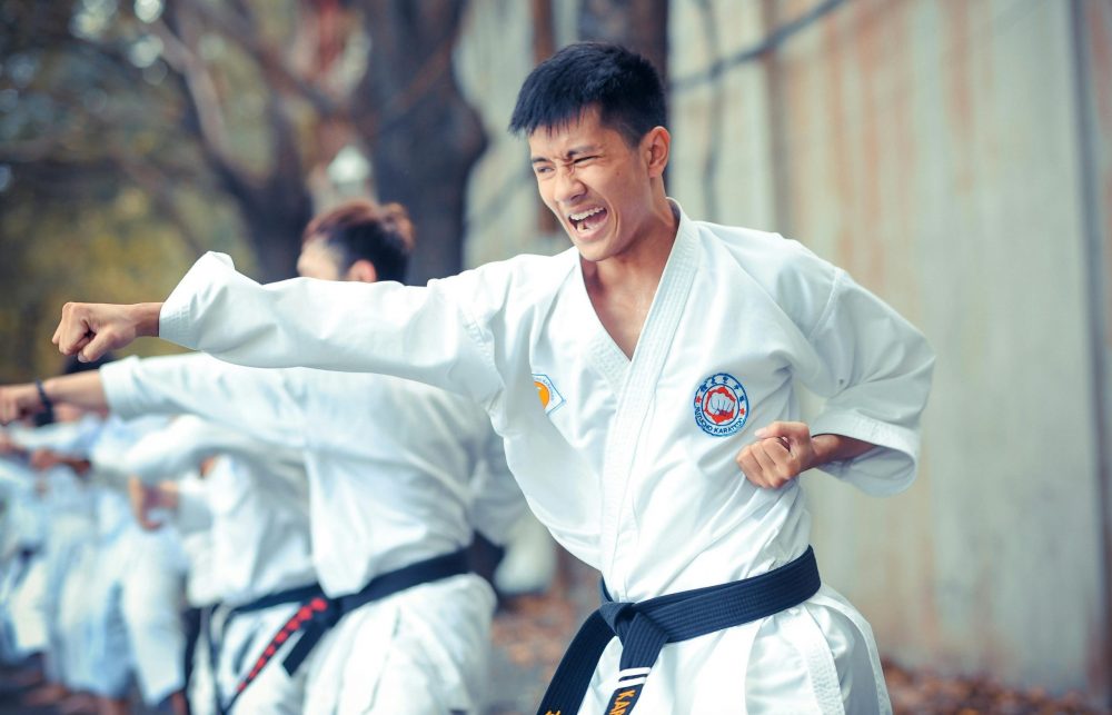 Karate Punches: Traditional Techniques and Styles Explained