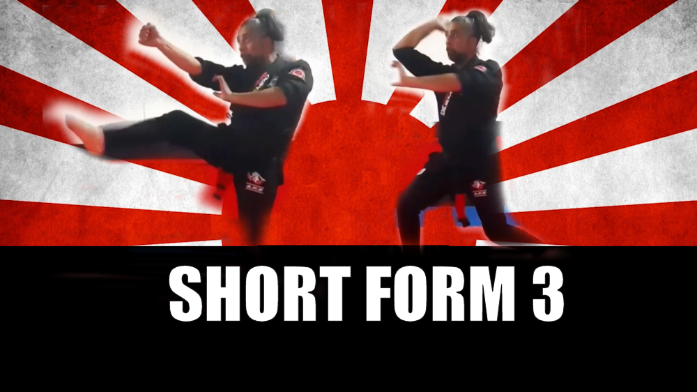 Kenpo Karate Short Form 3 - Sports and Martial Arts