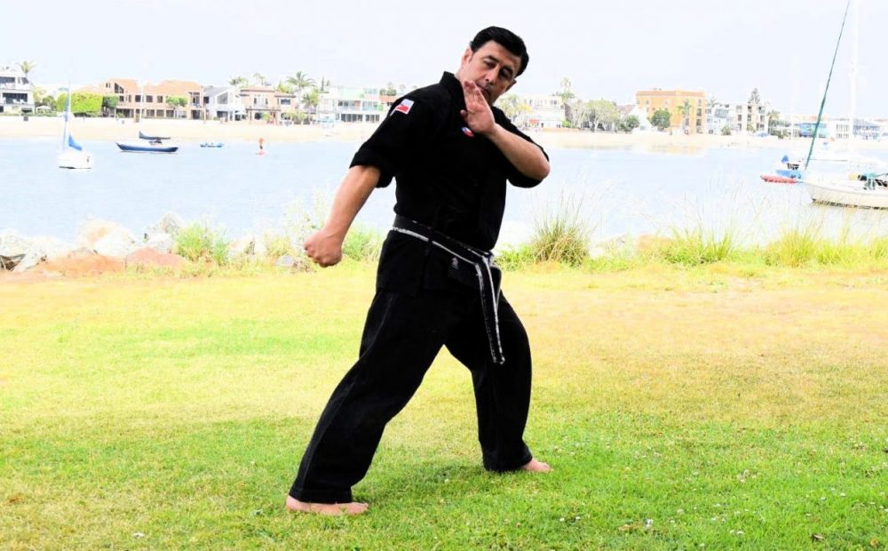 Back Hammer Fist in Kenpo Karate: Technique and Applications