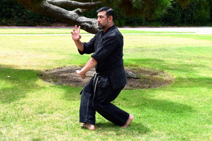 Front Twist Stance in Kenpo Karate - Sports and Martial Arts