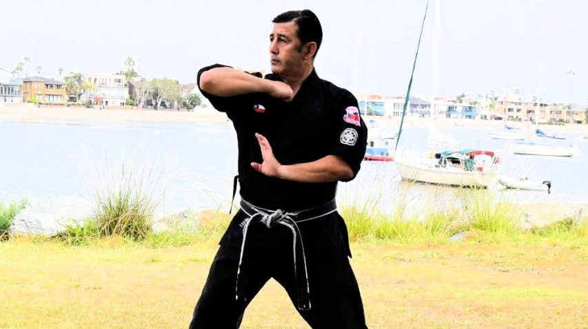 Inward Elbow Strike in Kenpo Karate: Technique and Uses