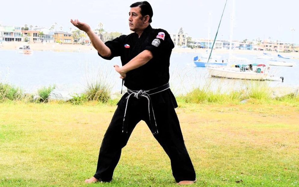 Inward Hand Sword Strike in Kenpo Karate | Techniques & Targets