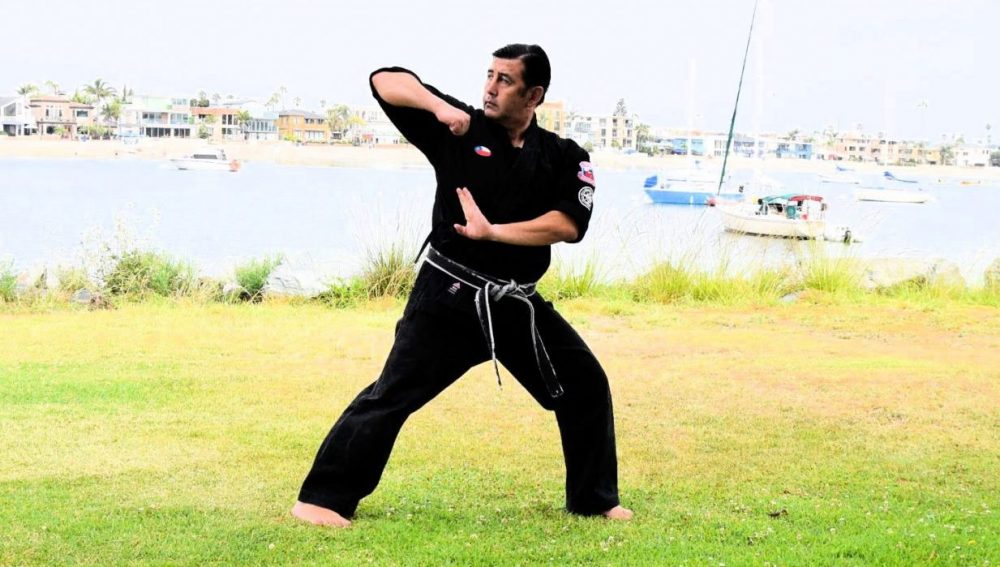 Obscure Elbow Strike in Kenpo Karate: Key Self-Defense Technique