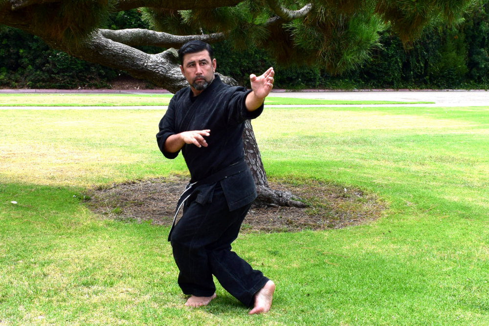 he Rear Twist Stance in Kenpo Karate: Techniques and Applications