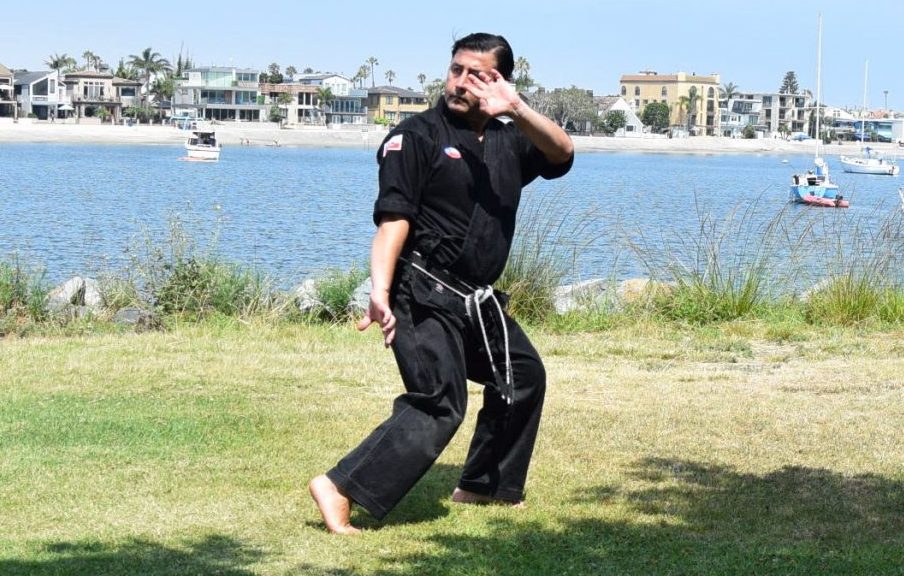 Reverse Cat Stance in Kenpo Karate: Its Role and Variations