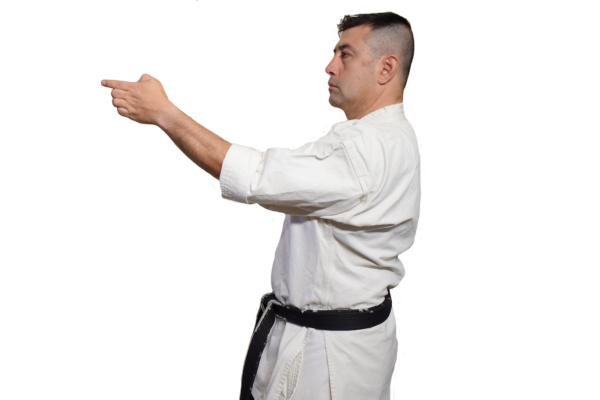 Ippon Nukite – Finger Strike - 1 on 1 Super Karate moves